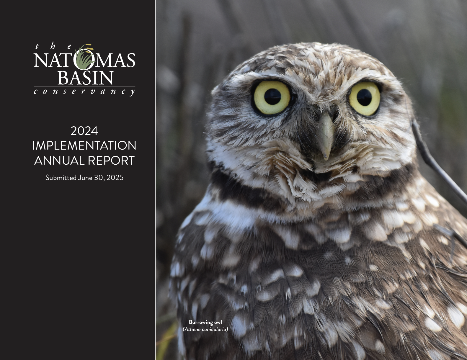 2024 Implementation Annual Report - The Natomas Basin Conservancy
